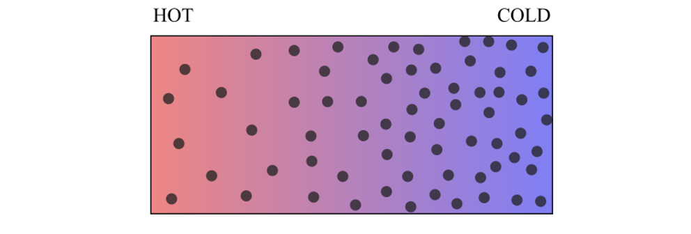 Thermophroesis as an emergent phenomenon: the role of internal states ...